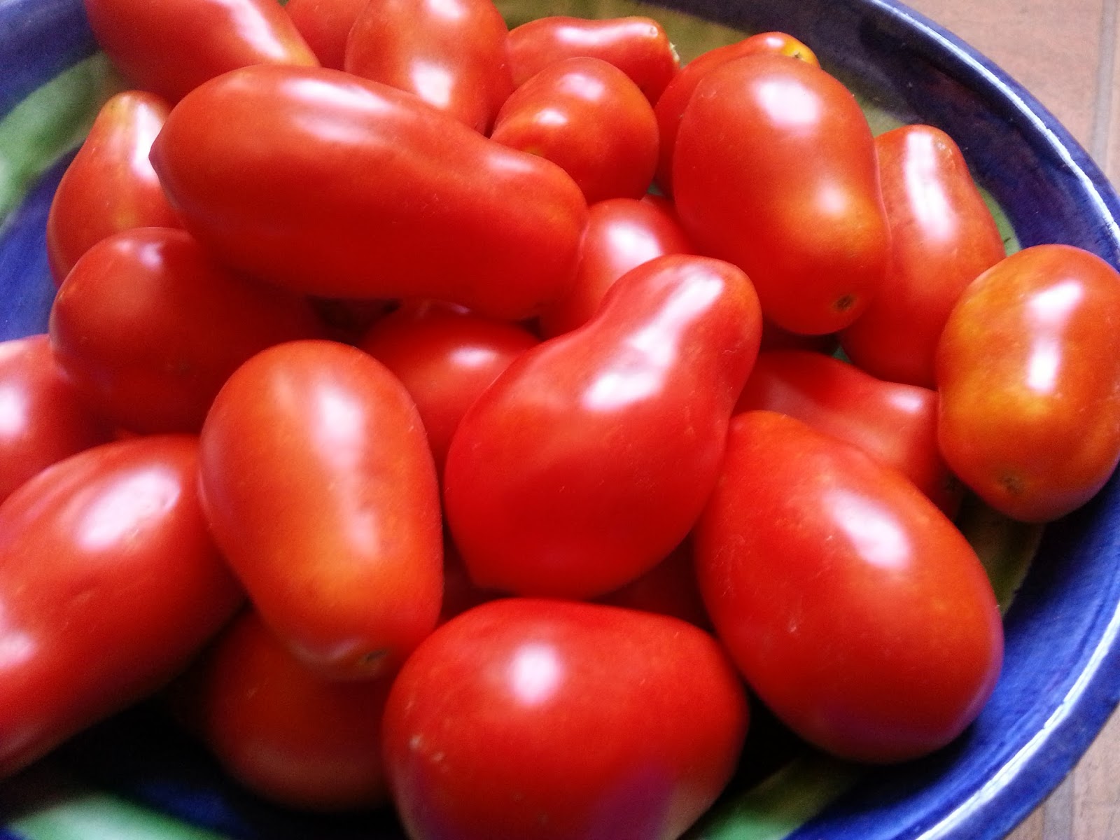 Jardineria Natural. Un Jardí per Menjar-se'l.: TOMATA, VARIETAT ROMA.